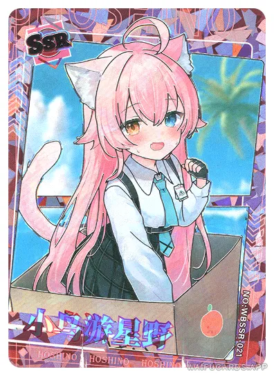 WBSN-001 SSR-021 с Hoshino Takanashi (Blue Archive) | WaifuCards